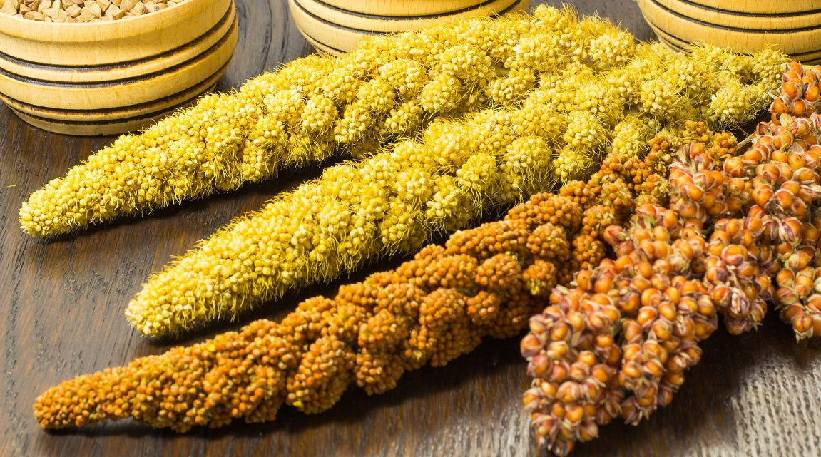 Millets and Millet Products | The International Food Store